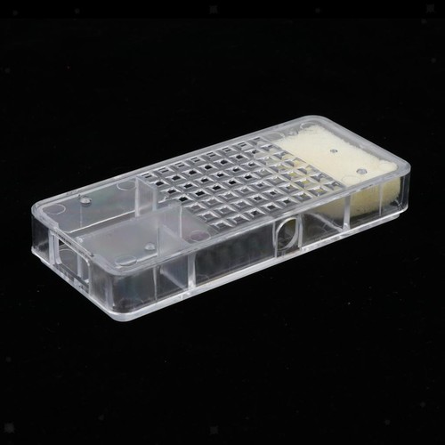 20 Pcs Queen Bee Cage / Bee Transfer Tool / Bee Transport Cage for ...