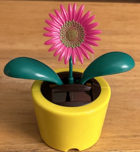 Plastic Solar Dancing Gerber Daisy Flower Plant (Dances Under The Light ...