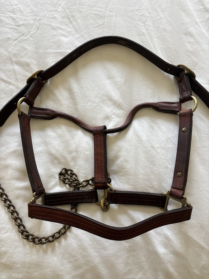 Leather Show Halter Horse With Lead | eBay