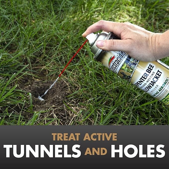 Spectracide Carpenter Bee & Nesting Yellowjacket Killer Spray 16Oz Each ...