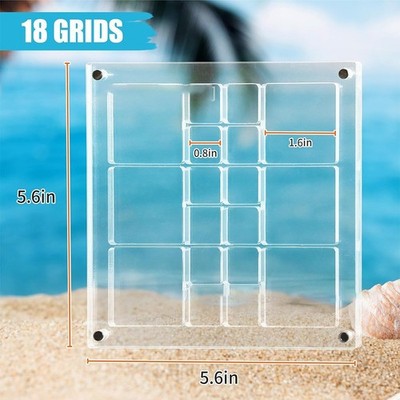 Souvenir Storage Home Display Acrylic Magnetic Seashell Display Box ...
