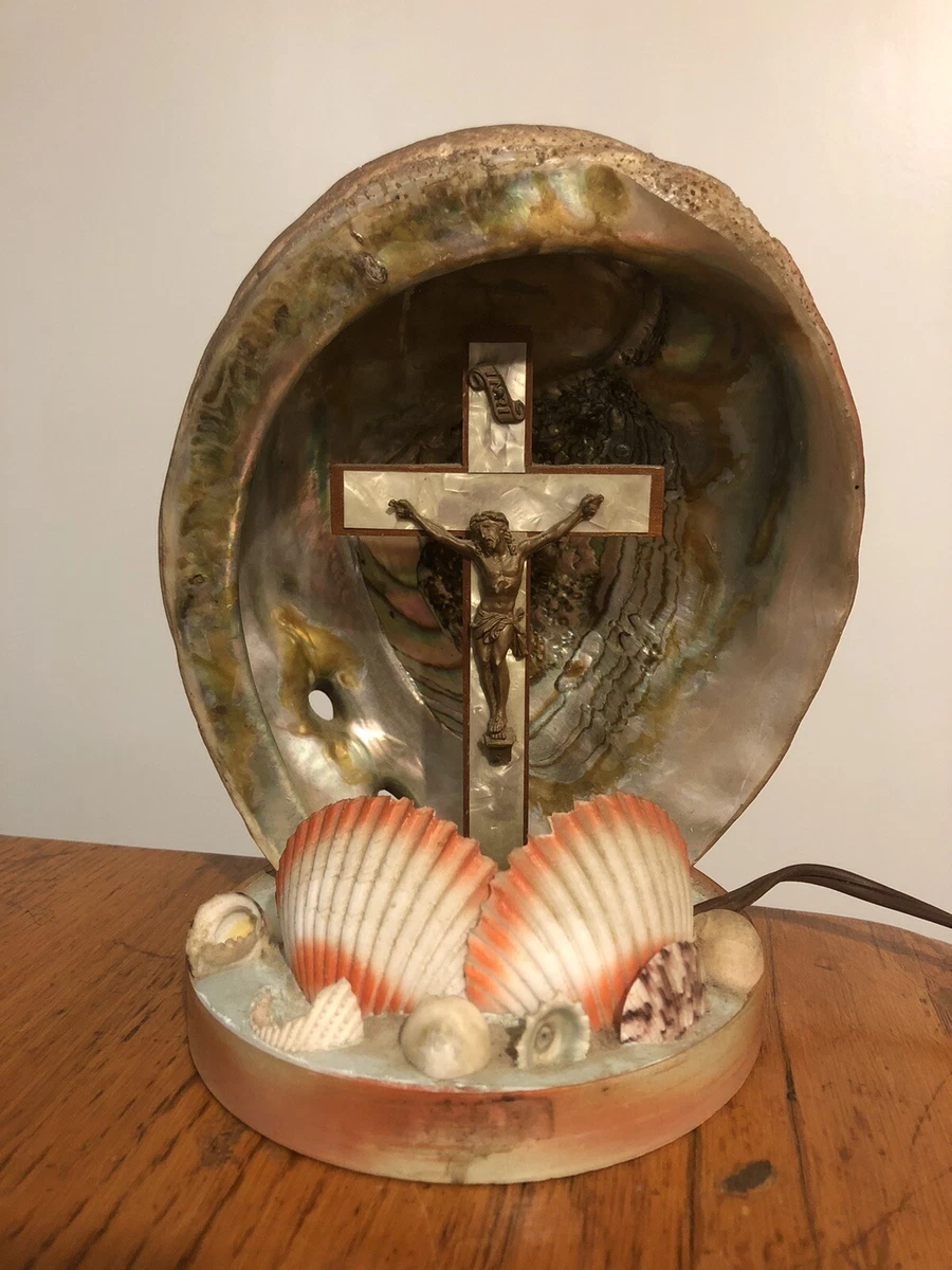 Lamp Shells