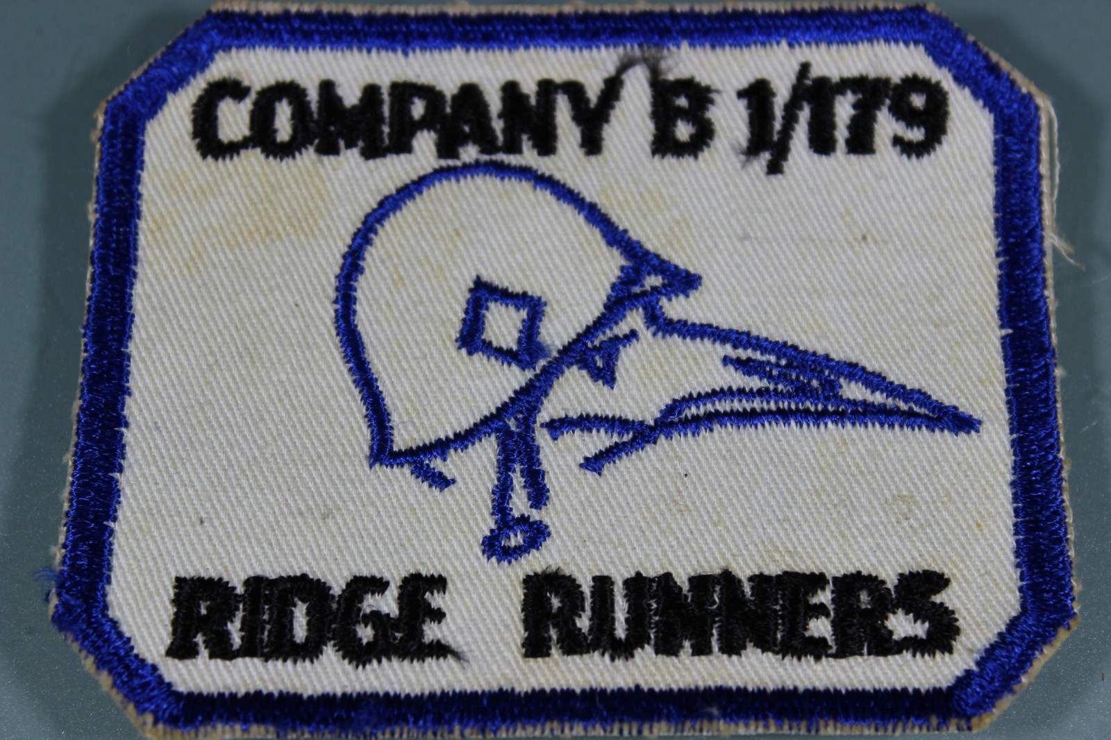 US Vietnam Era Company B 1 179th Infantry Regiment Ridge Runners Patch ...