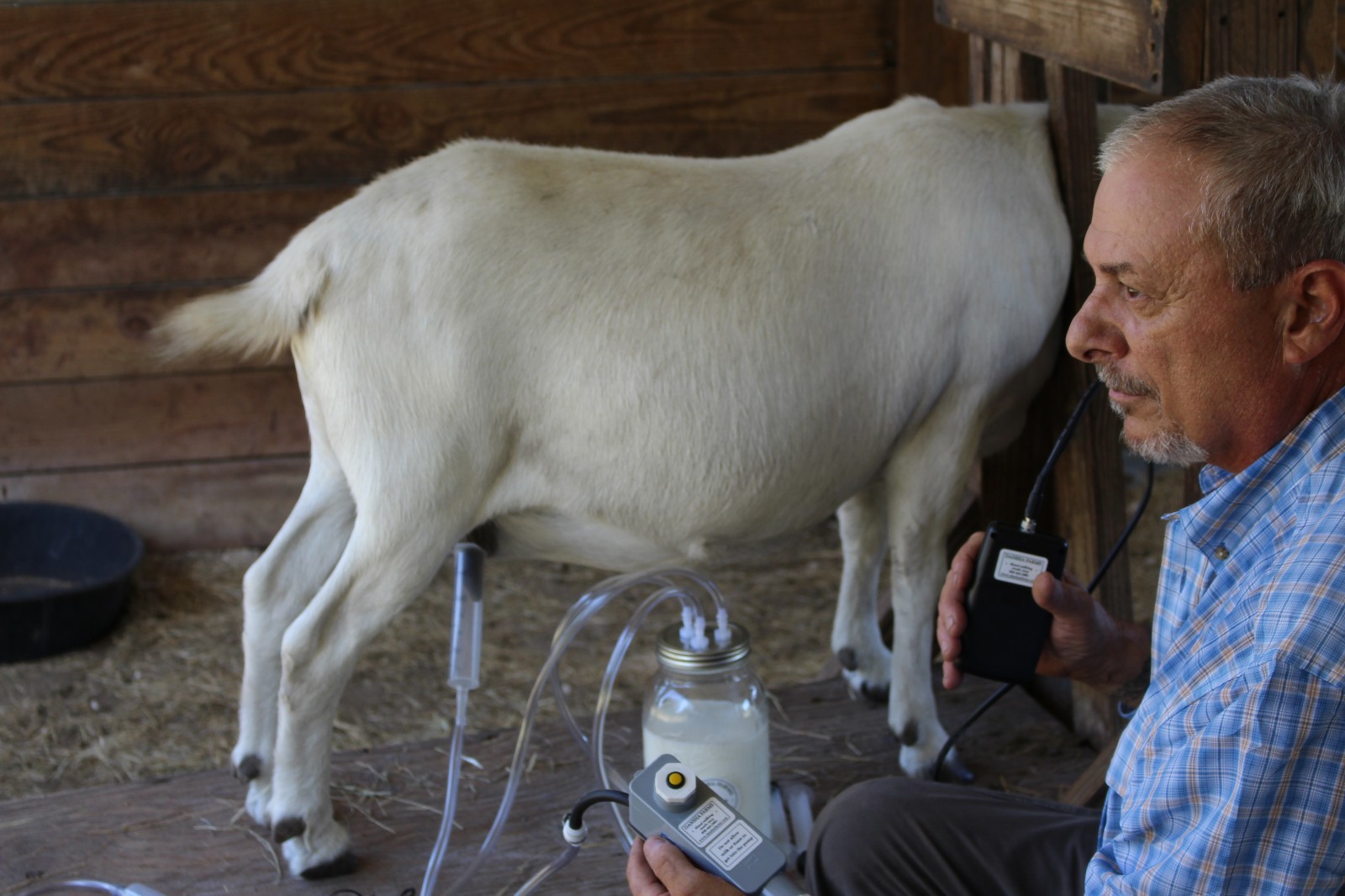 Dansha Farms™ The Frontier" Goat Sheep Cow Milk Machine Rechargeable 1/ ...