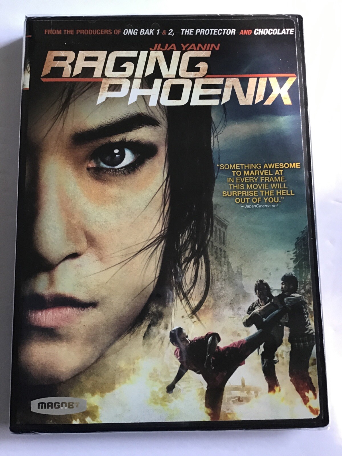 Raging Phoenix Poster