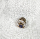 UCT Bay State No. 584 Lapel Pin United Commercial Travelers Financial ...