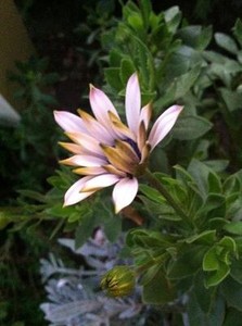 Jens Interesting Stuff | eBay Stores