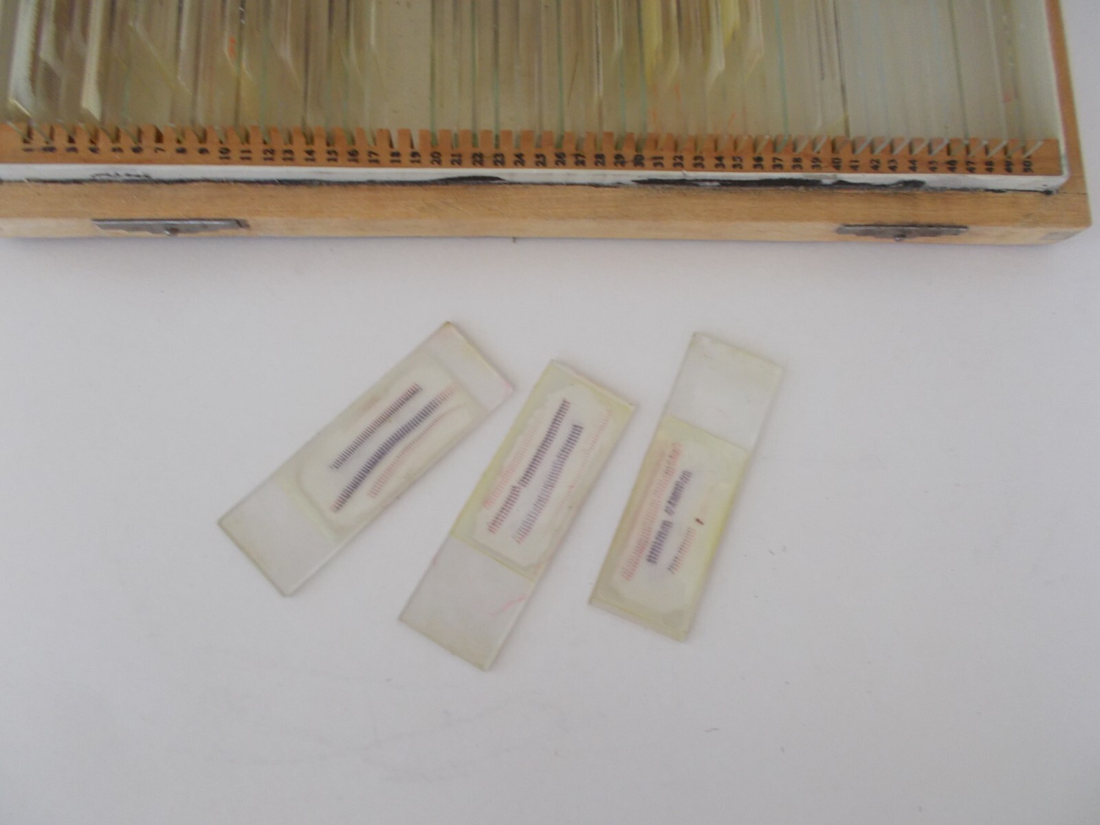 VINTAGE MICROSCOPE LAB SLIDES, WOOD BOX, LOT OF 100, ca 1940s | eBay