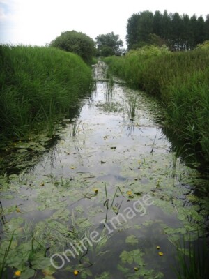 Photo 6x4 Minsmere River Eastbridge/TM4566 View along Minsmere river ...