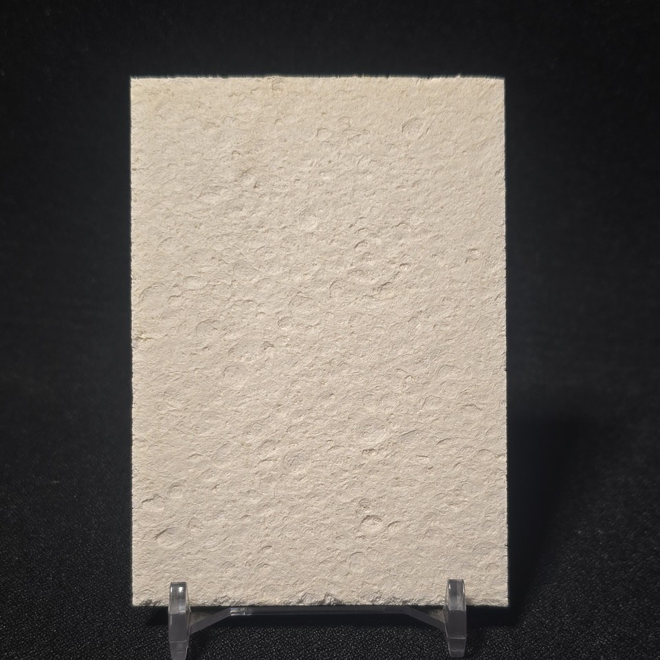 2009 TOPPS SPONGEBOB SQUAREPANTS SERIES 1 Real Sponge Card RARE RARE ...