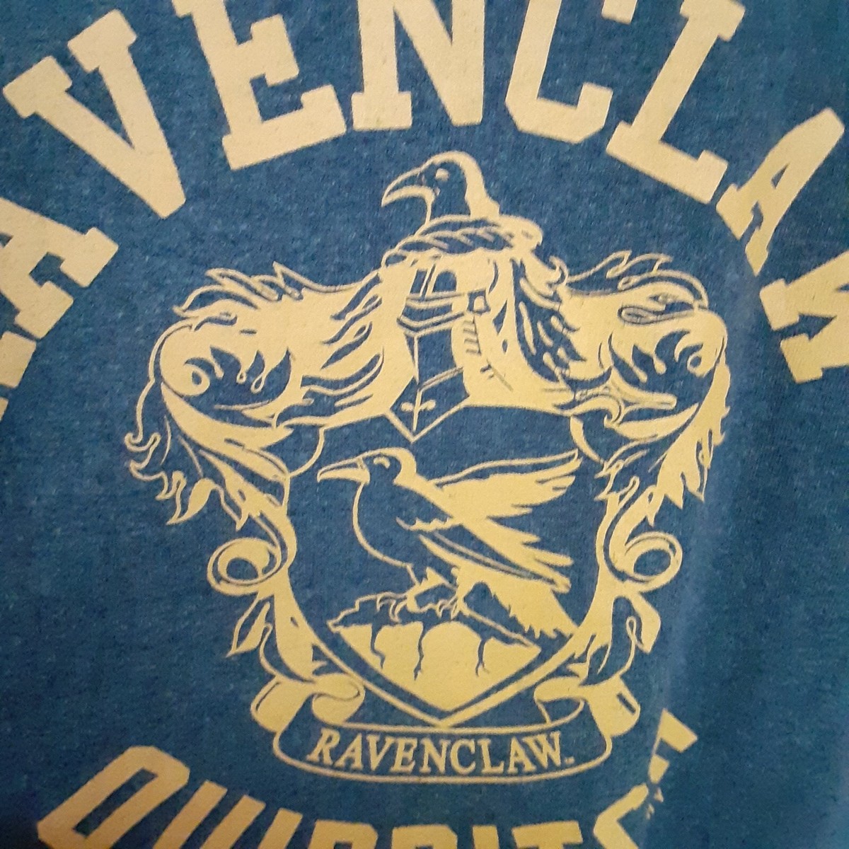 Ravenclaw Quidditch Logo Ravenclaw House Values T Shirt Blauw Harry