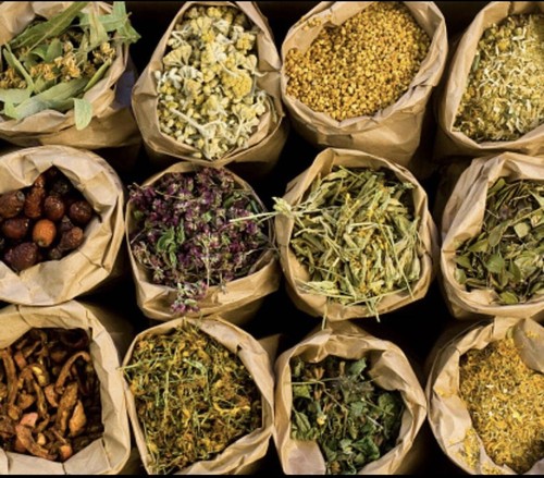 EWE Abamoda IFA Osha Religión Yoruba, AKOSE Ifa Tradicional ORULA Santo ...