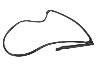 GM Genuine Parts 22960752 Door Seal | eBay