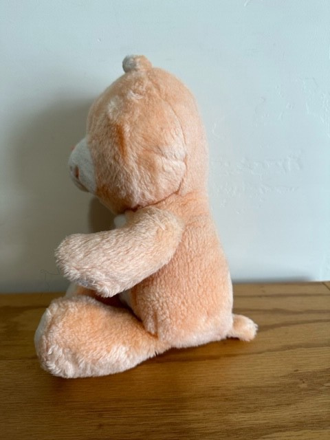 Care Bear Vintage 1980's Surprise, Sea Friend, Forest Friend, Harmony ...