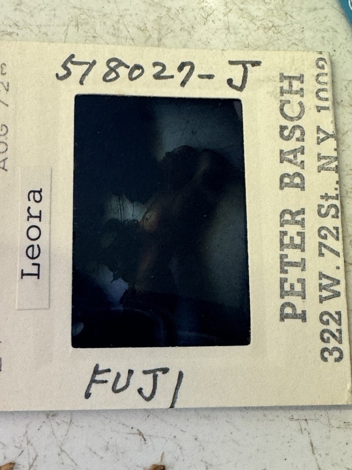 Leora Nude Model 1972 Kodachrome Camera Transparency Peter Basch | eBay