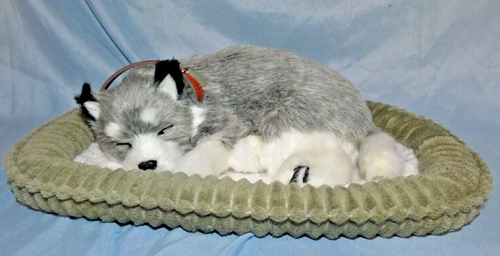 Perfect Petzzz Sleepy Husky 2022 | eBay