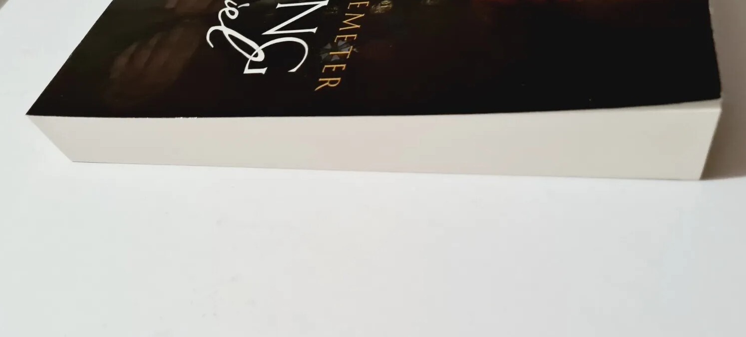 Finding Gabriel by Rachel L. Demeter (Paperback, 2015) | eBay