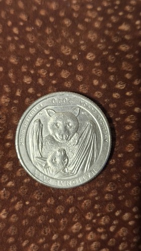 RARE 2020 QUARTER- BAT PANDEMIC COIN- AMERICAN SAMOA MINT MARK P | eBay