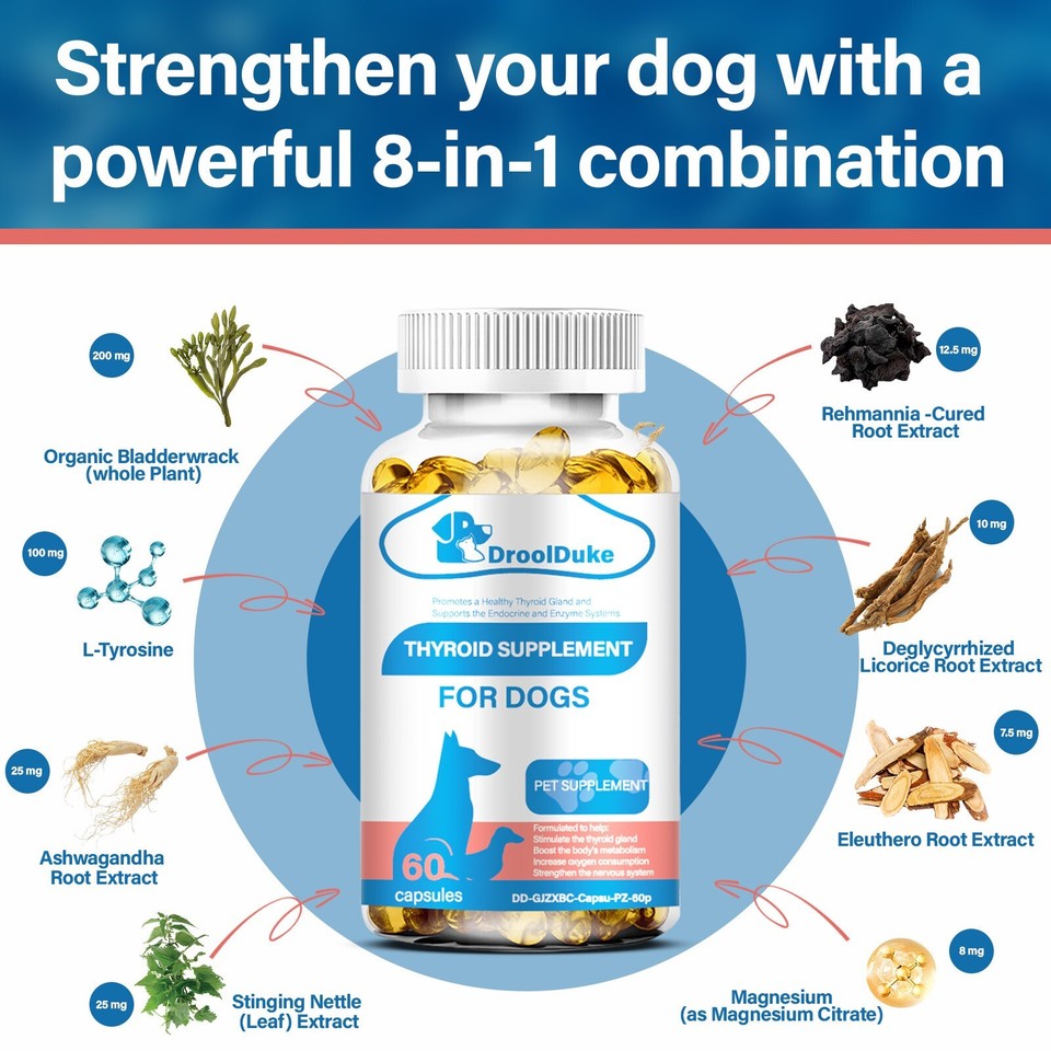Dog thyroid supplements help improve skin hair normal development and ...