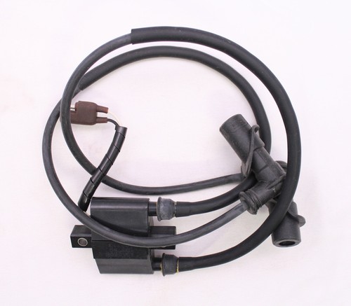 Ignition Coil Part Number - 4010898 For Polaris | eBay