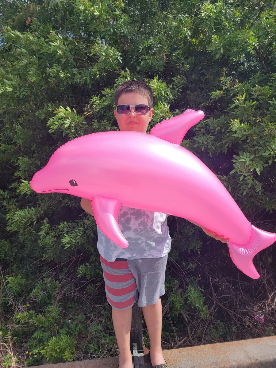 Pink Dolphin Costume