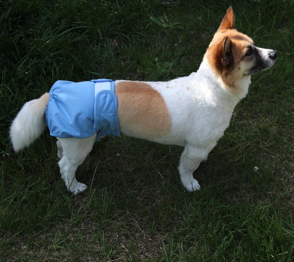 JoyDaog 4-Pack Female Dog Reusable Premium Nappies for Heat ...