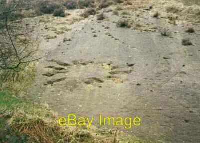 Photo 6x4 Star delph sandstone quarry Rishton Stigmaria root system ...