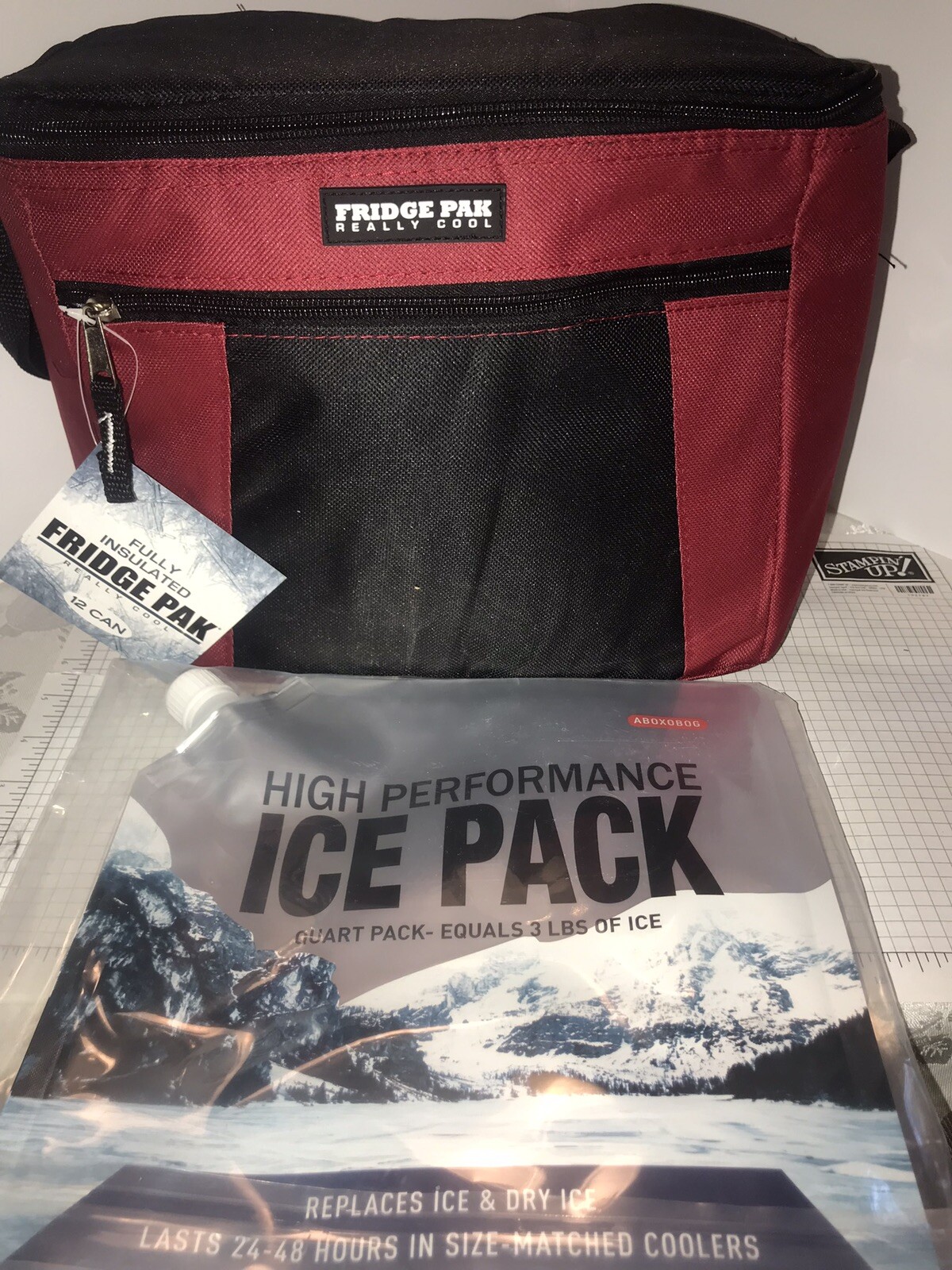 Fridge Pack Cooler & Ice Pack - Cooler Holds 12 Cans - All Brand New | eBay