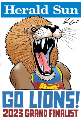 BRISBANE LIONS TEAM POSTER, AFL FOOTBALL,BARGAIN,GREAT FEEDBACKS 3 ...