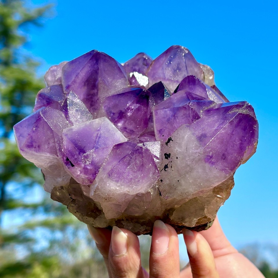 3.61LB Natural Amethyst Cluster Quartz Crystal Backbone Mineral ...
