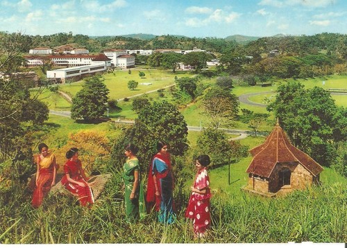 MIN1640 Sri Lanka Peradeniya Galaha Rd university parkwomens in ...