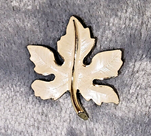 Small 1" Metal Enamel Ivory Color Maple Leaf Pin / Brooch Jewelry | eBay