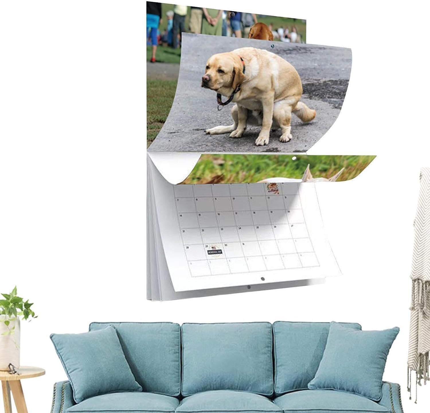 2024 Dogs Pooping Calendar - 2024 Wall | Grelly UK