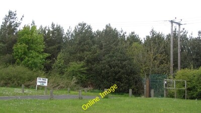 Photo 6x4 Woodland, Stobswood Stobswood/NZ2394 Rather dense woodland ...