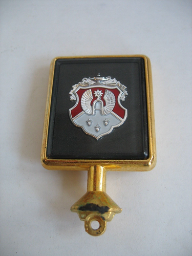 New NOS GM Vintage Oldsmobile Delta 88 98 Regency Gold Hood Ornament ...