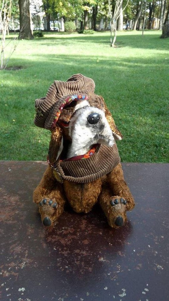 dog Teddy boxer Toy dog Stuffed dog | eBay