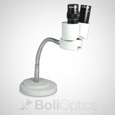 Dental Lab - Dental Microscope
