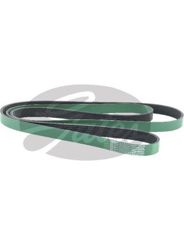 Gates Fleet Runner Heavy Duty Micro-V Ribbed Belt (6PK2895HD) (8555 ...