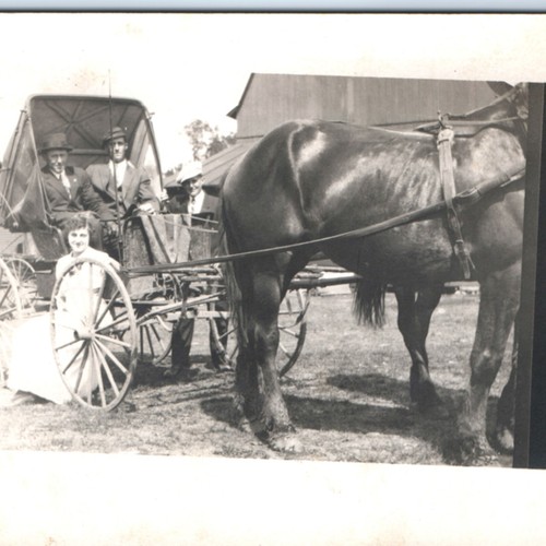 c1900s Cool Men Big Horse Drawn Carriage RPPC Farm Girl Smile Real ...