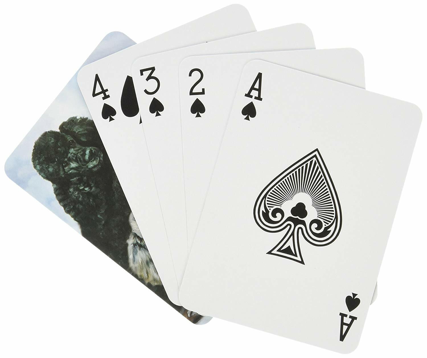 New Poodle Playing Cards Deck of 52 Card - 5 Poodles Pet Dogs by Ruth ...