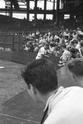 Brooklyn Dodgers Manager Walt Alston 1956 Old Baseball Photo | eBay