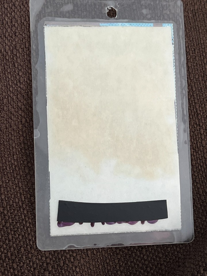 SOUNDGARDEN 1989 1990 ALL ACCESS TOUR LAMINATE BACKSTAGE PASS RARE ...