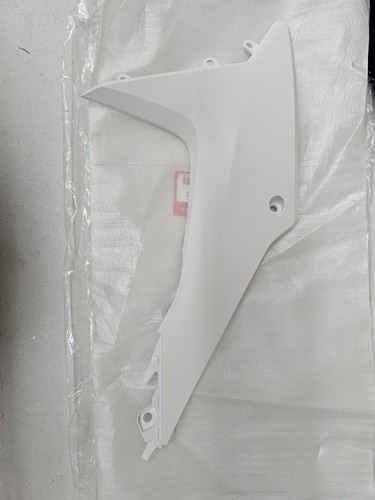 HONDA OEM SHROUDL R*NH196* | 19045-KZZ-900ZC | eBay