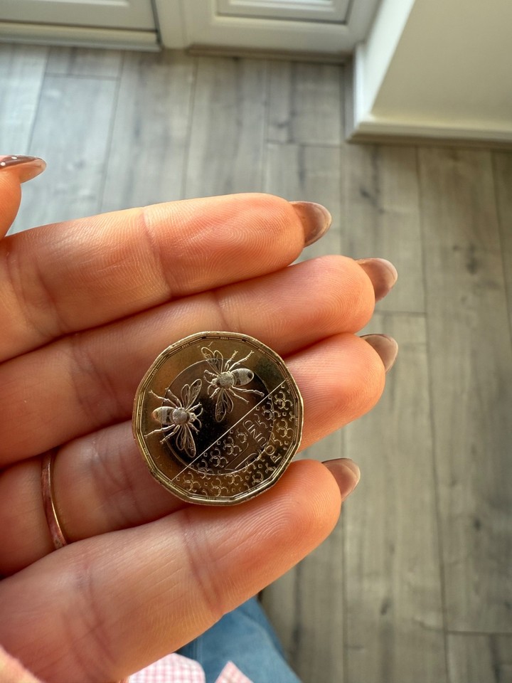 UNCIRCULATED Very Rare 2023 King Charles III Bee 1 Pound Coin Limited ...