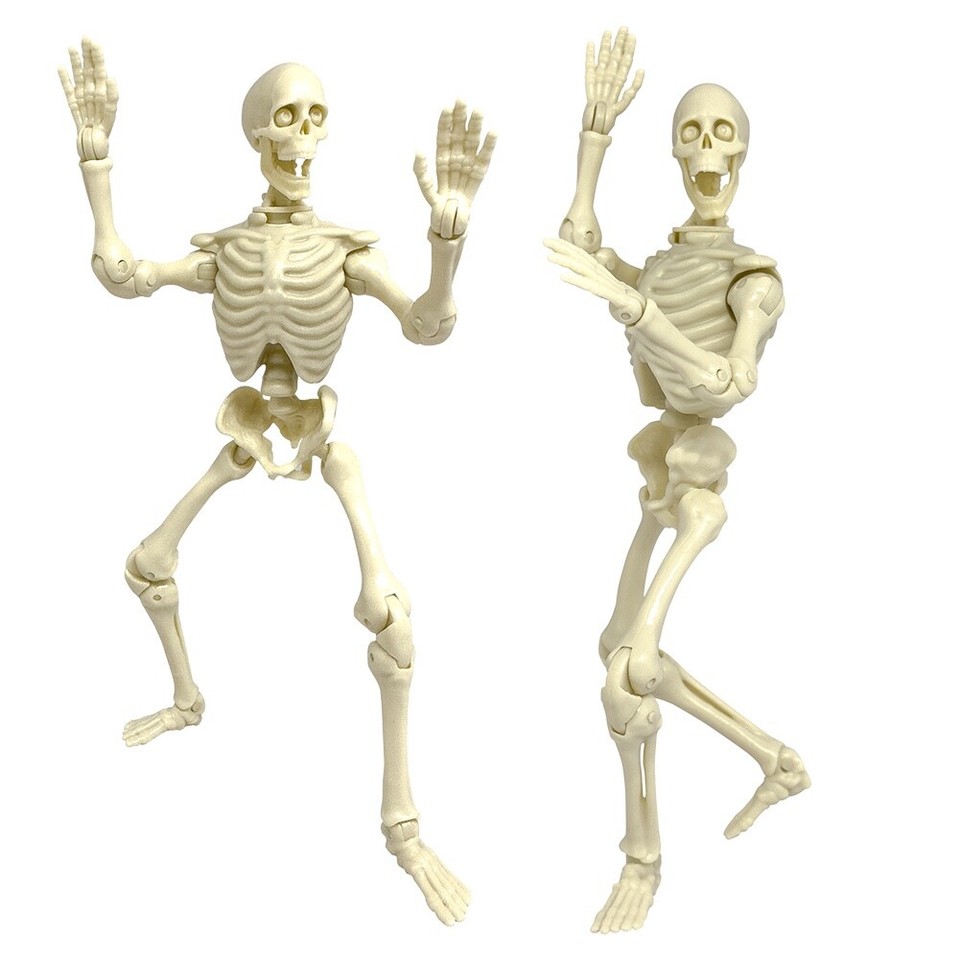 Super Articulated 8 Inch Skeleton Action Figure | eBay