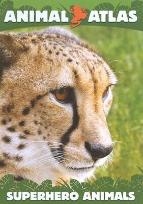 Superhero Animals by Animal Atlas (DVD, Animals in the WILD ...