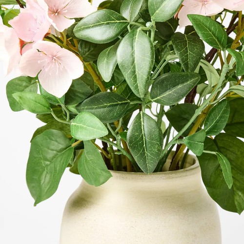 Statement Floral Potted Arrangement - Threshold designed with Studio ...