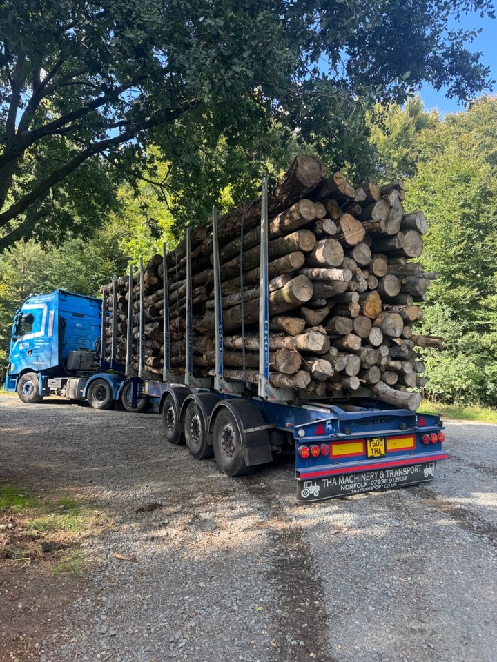 Price reduced!!! 2017 Robinson crane timber trailer | eBay UK