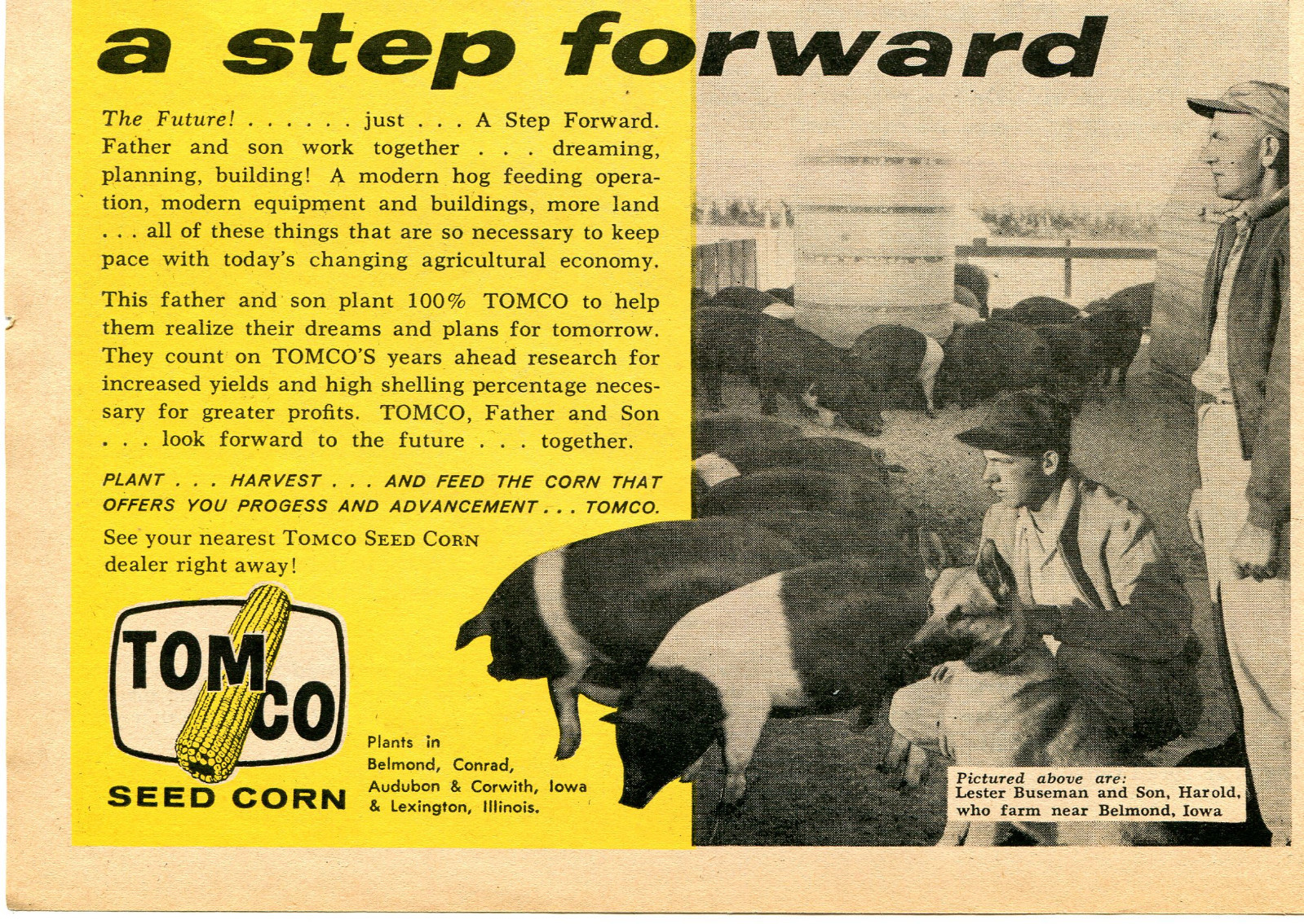 1960 Print Ad of Tomco Seed Corn Lester Buseman & Son Belmond Iowa | eBay