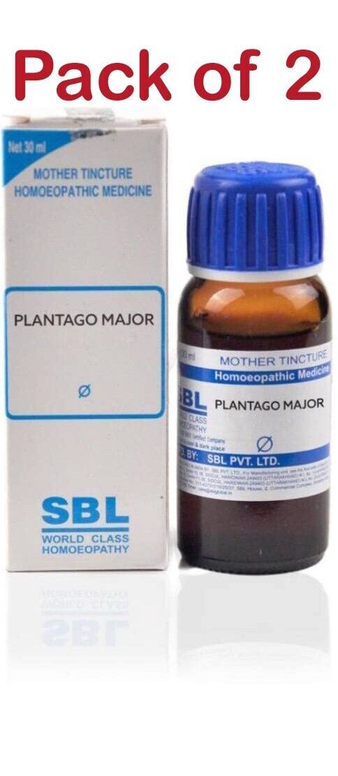 2X SBL Plantago Major Mother Tincture Q Gumboil Abscess Infection ...